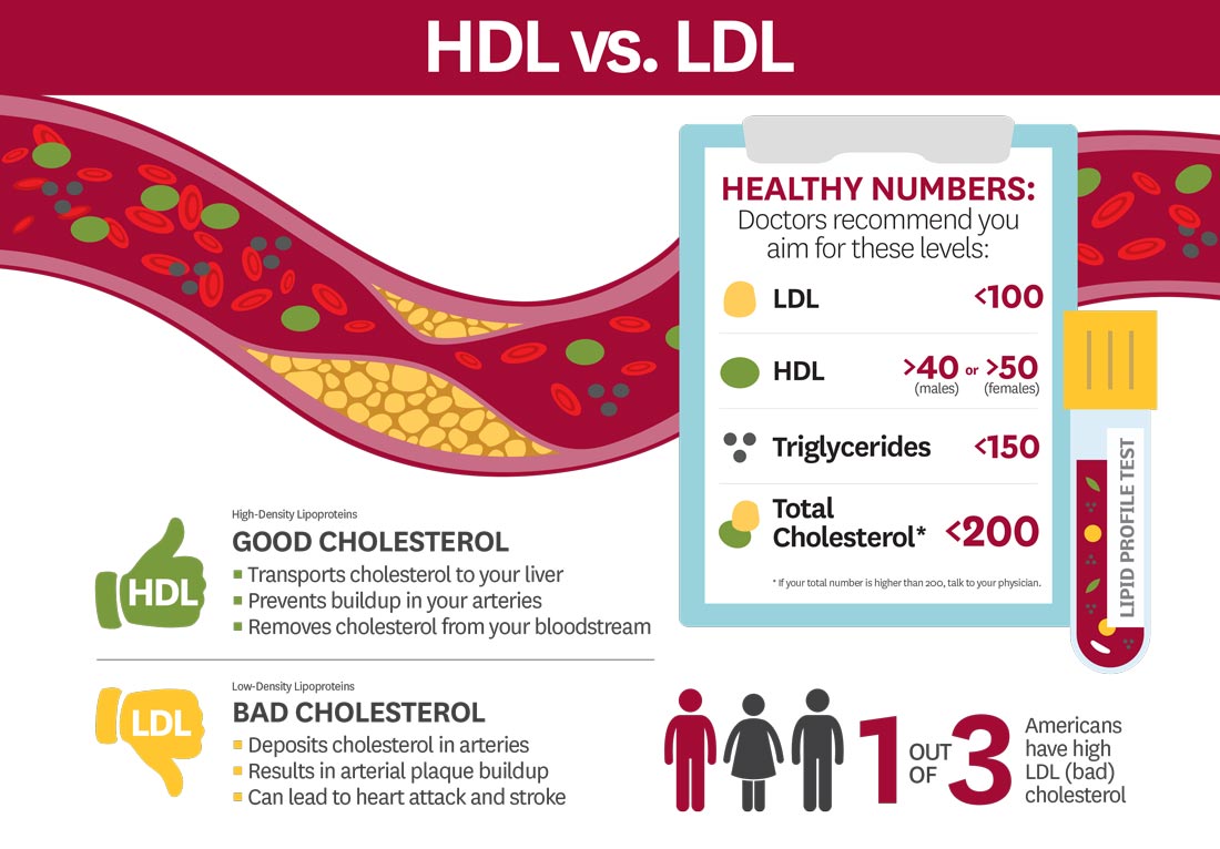 What Is the Difference Between Good and Bad Cholesterol? - Keck ...