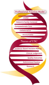 Professional Practice Model - Keck Medicine of USC