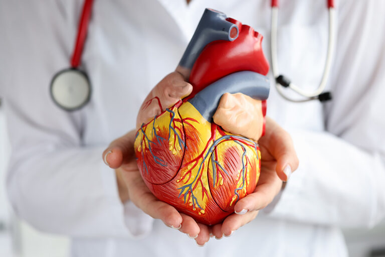 Heart Valve Problems and Treatments: A Cardiac Surgeon Explains | Keck ...
